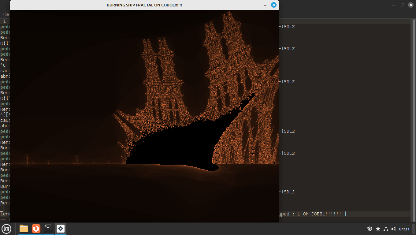 Pedro De Oliveira Haro Portfolio
